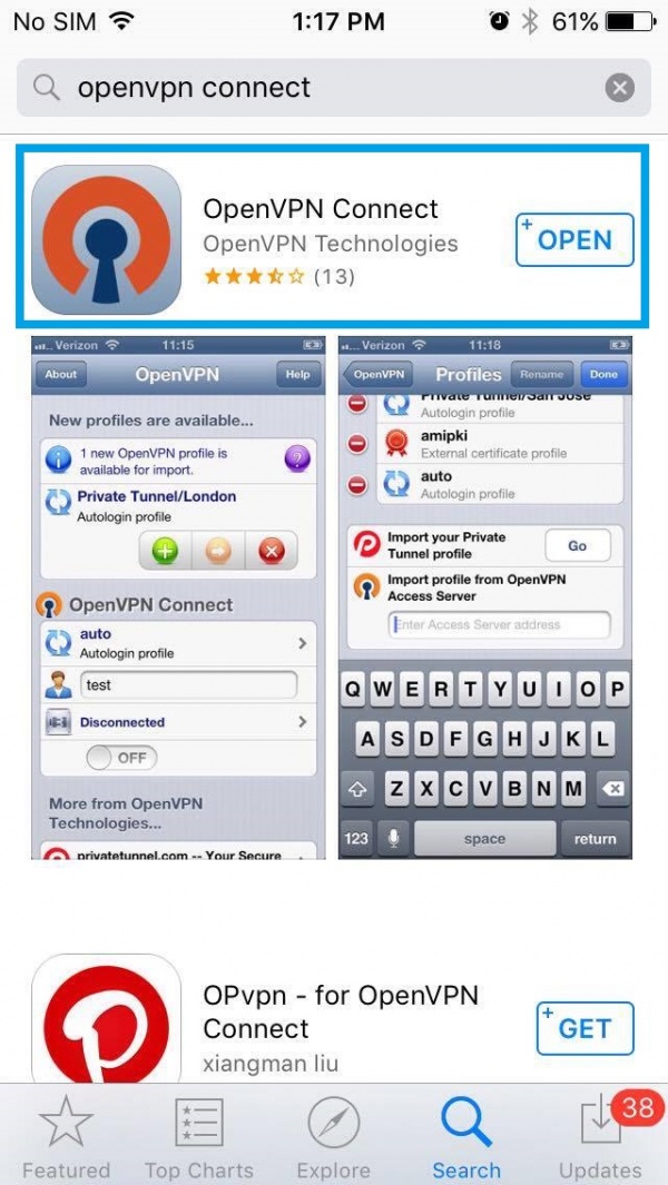 Astrill Setup Manual:How to configure OpenVPN with OpenVPN app on ...